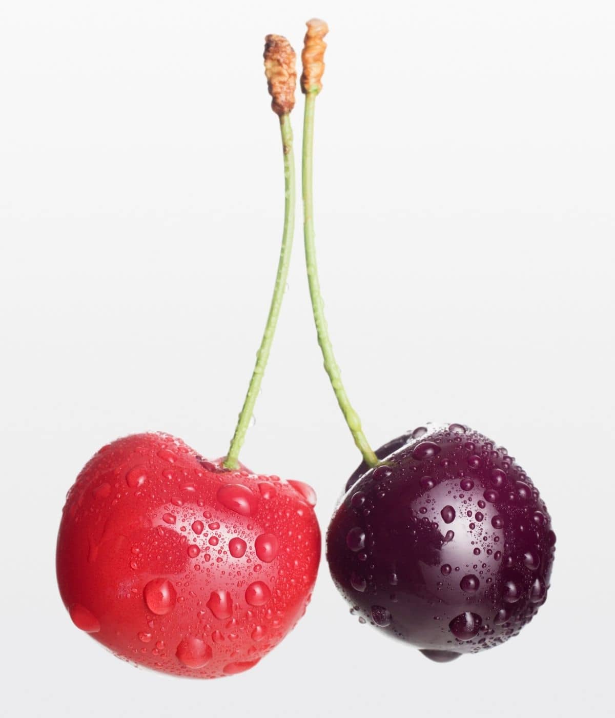 Cherry Blend Flavoring | Bickford Flavors