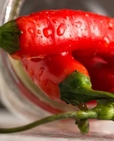 Chipotle Extract - Water Soluble | Bickford Flavors