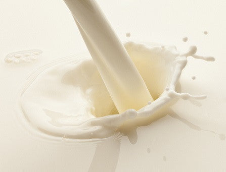 Sweet Cream Flavoring - Water Soluble – Bickford Flavors